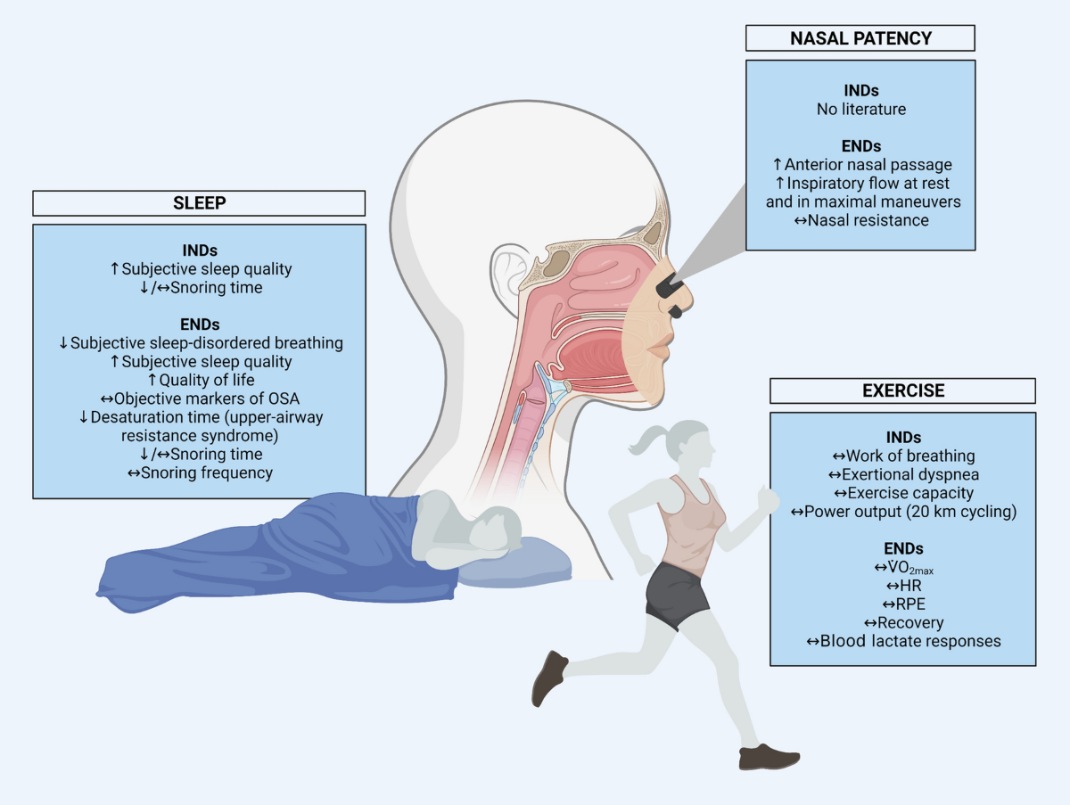 IMPORTANCE OF RESTORING NASAL BREATHING - MY Sports Injury ...