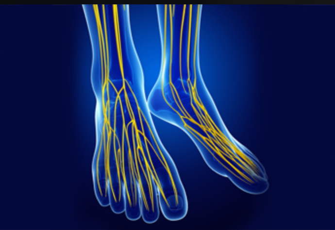 Peroneal Nerve Foot Entrapment: What You Should Know - MY Sports Injury ...